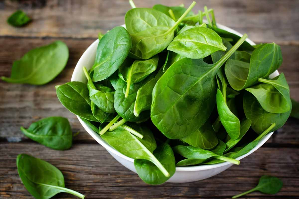 Delicious and Easy-to-Make Frozen Spinach Recipes You'll Love - KitchenMomy