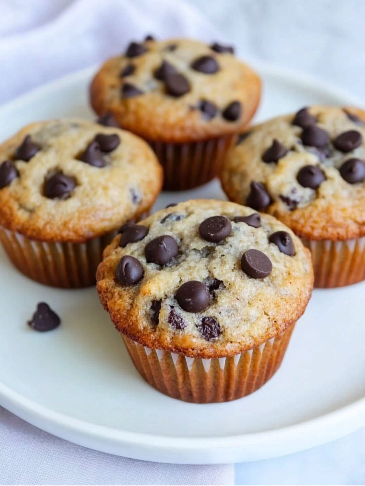 Chocolate Chip Protein Muffins