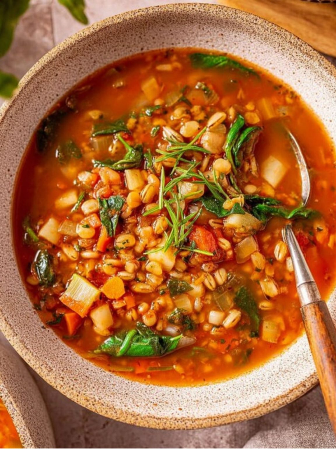 High-Protein Vegetable Soup Recipe