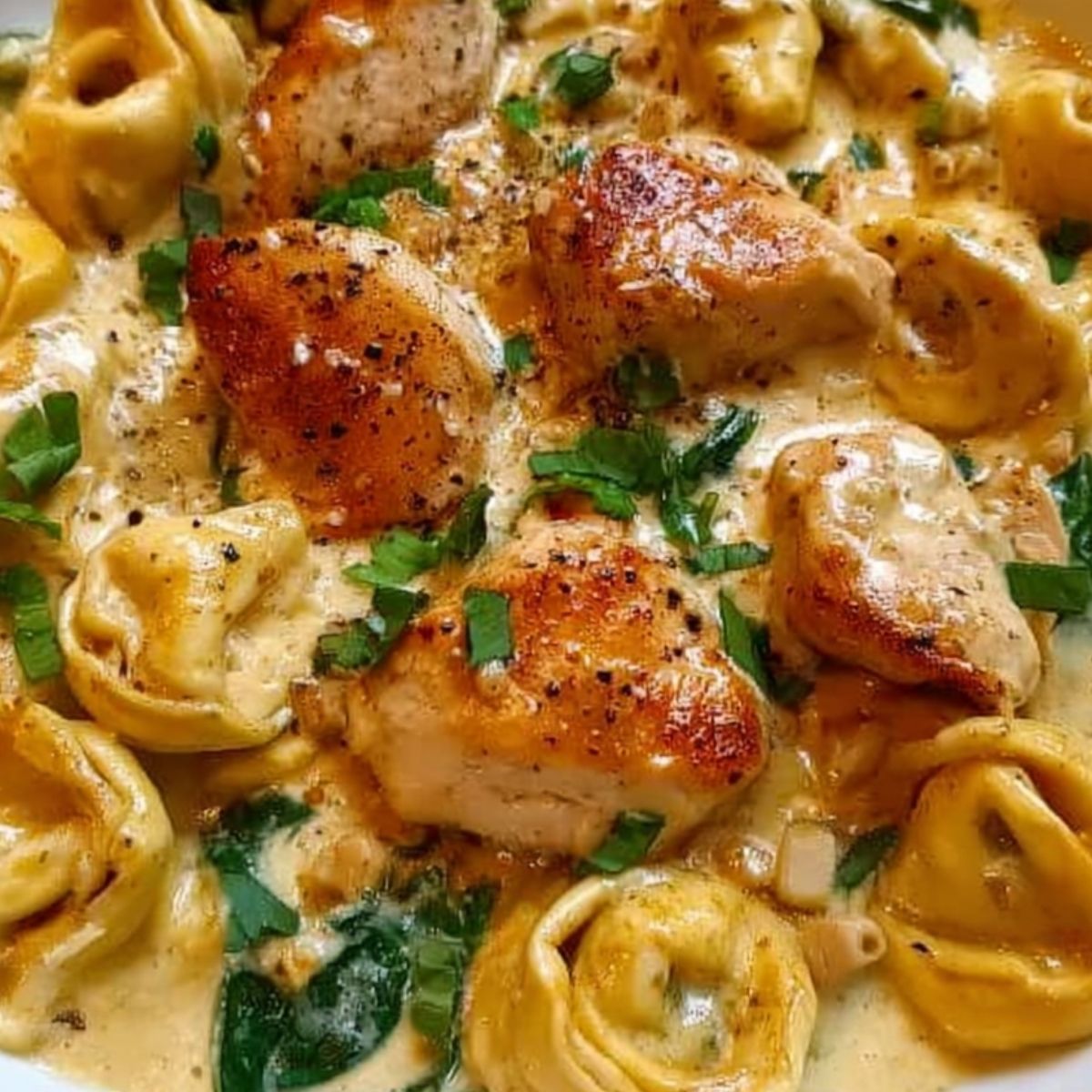 The Ultimate One Pot Creamy Parmesan Chicken Tortellini